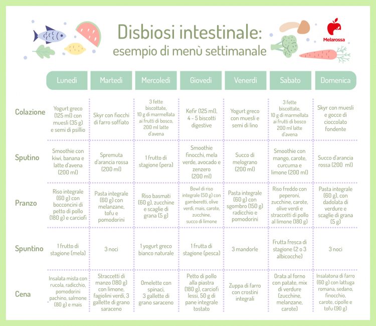 Disbiosi intestinale: che cos'è, sintomi, esempio di menù, cure