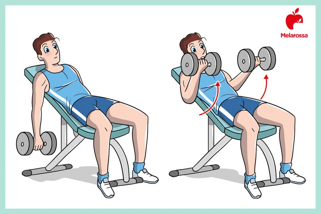 Esercizi bicipiti: i migliori allenamenti per tonificarli