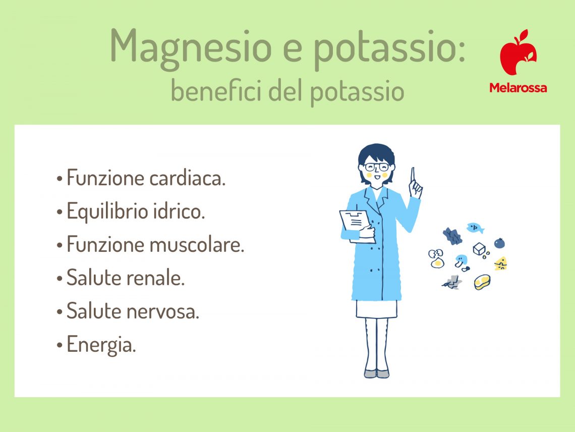 Magnesio e potassio: a cosa servono e i migliori integratori