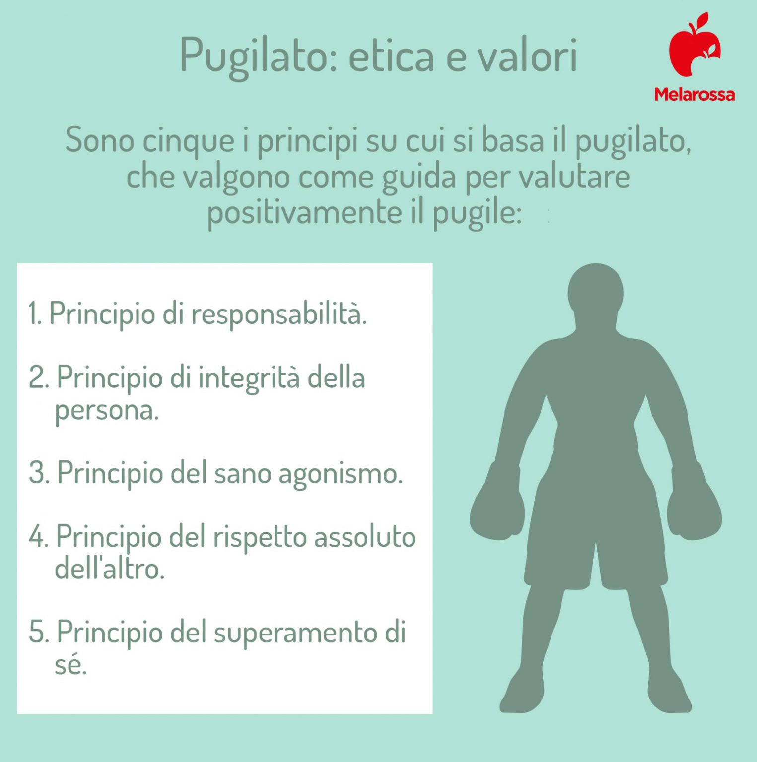 Pugilato: storia, etica e valori, combattimenti, tecnica e regole