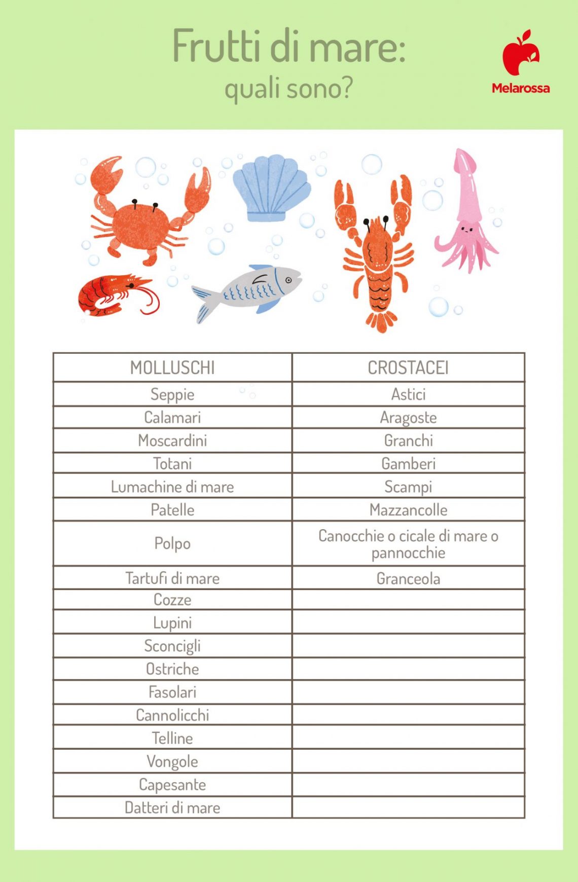 Frutti di mare: quali sono, elenco, benefici e ricette