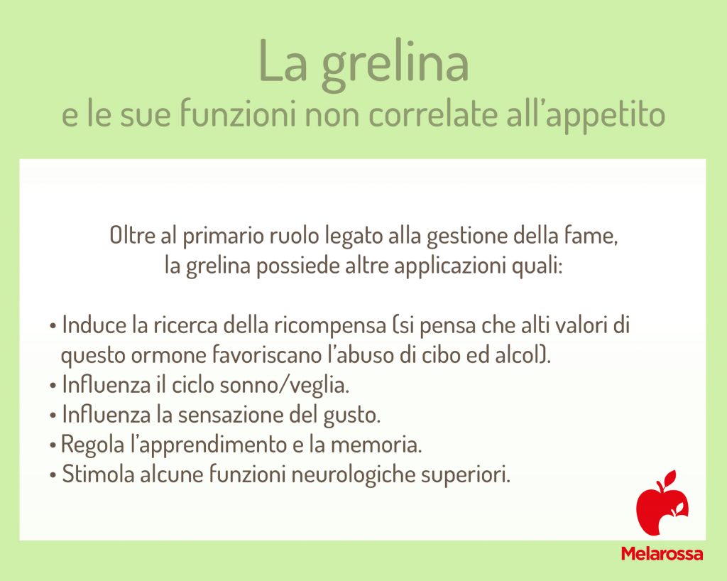 Grelina: che cos'è, dove si trova, come bloccarla