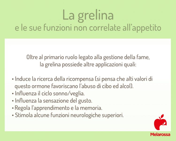 Grelina: che cos'è, dove si trova, come bloccarla