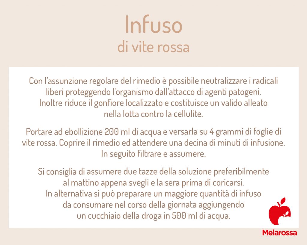 Vite rossa: che cos'è, a cosa serve, proprietà, i migliori integratori
