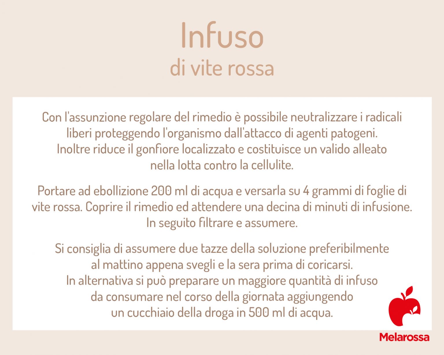 Vite rossa: che cos'è, a cosa serve, proprietà, i migliori integratori