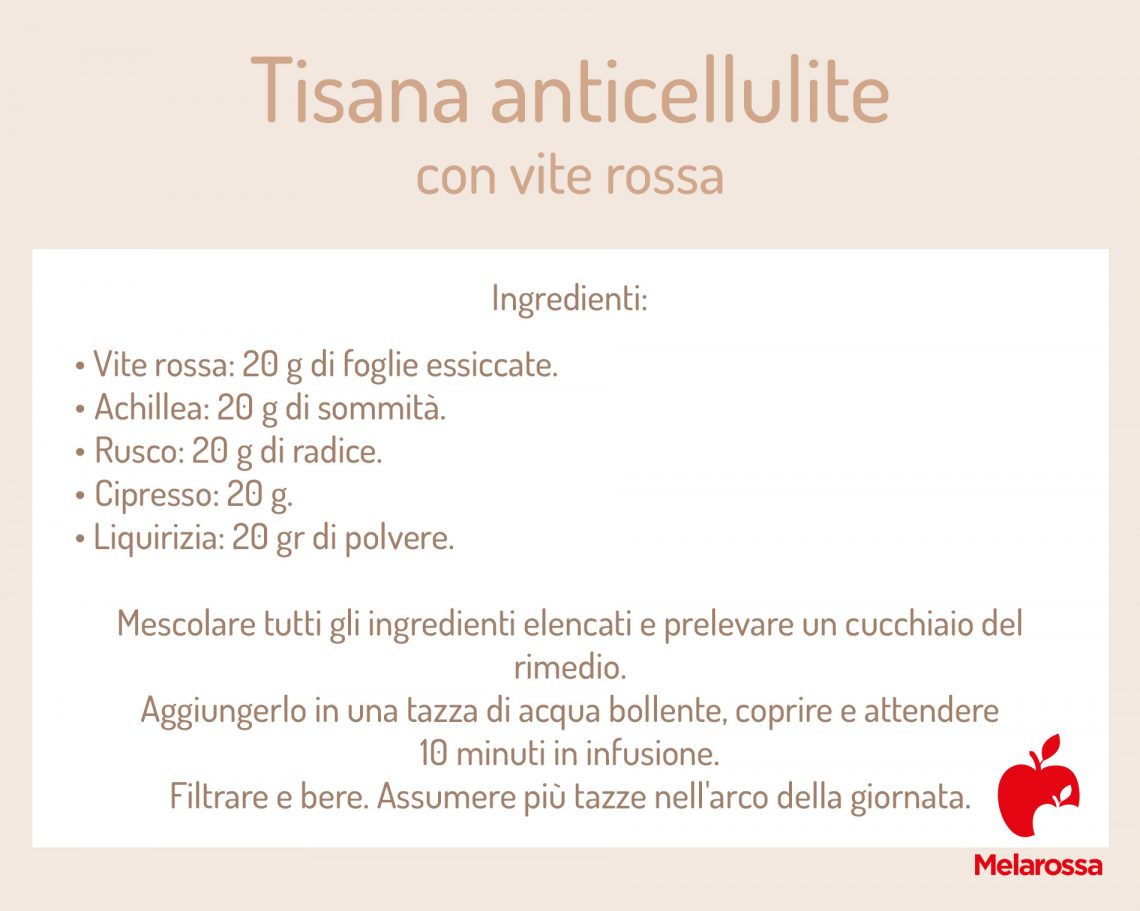 Vite rossa: che cos'è, a cosa serve, proprietà, i migliori integratori