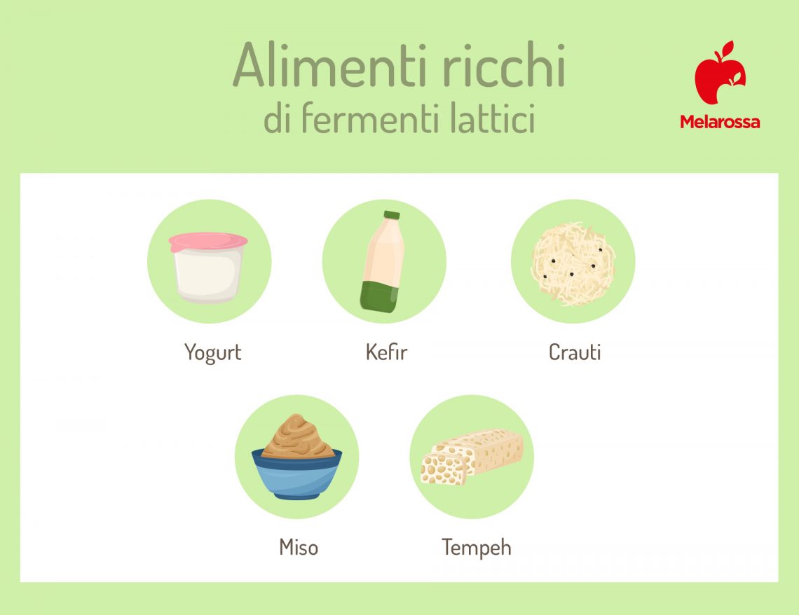 Fermenti lattici: cosa sono, a cosa servono, benefici