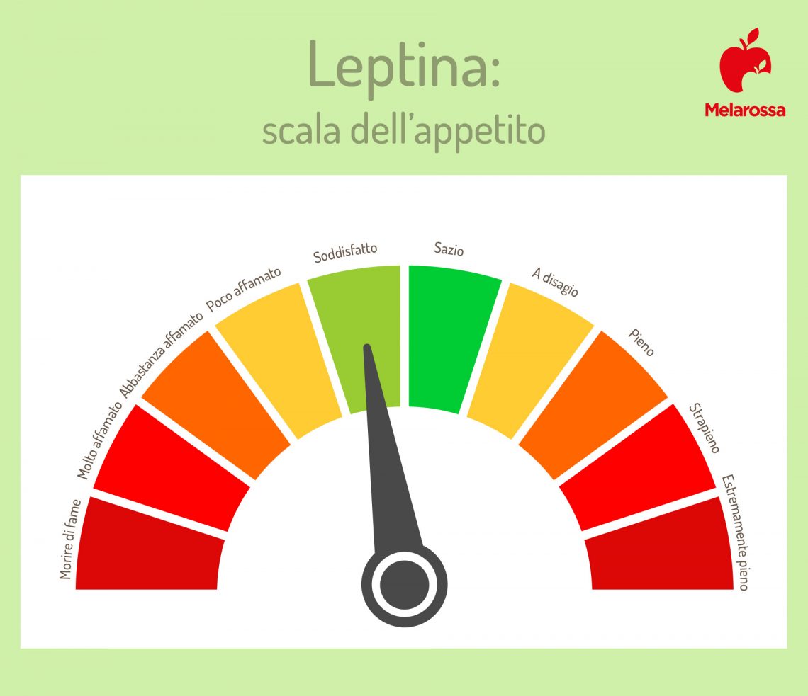 Leptina: che cos'è, dove si trova e legame con fame e obesità