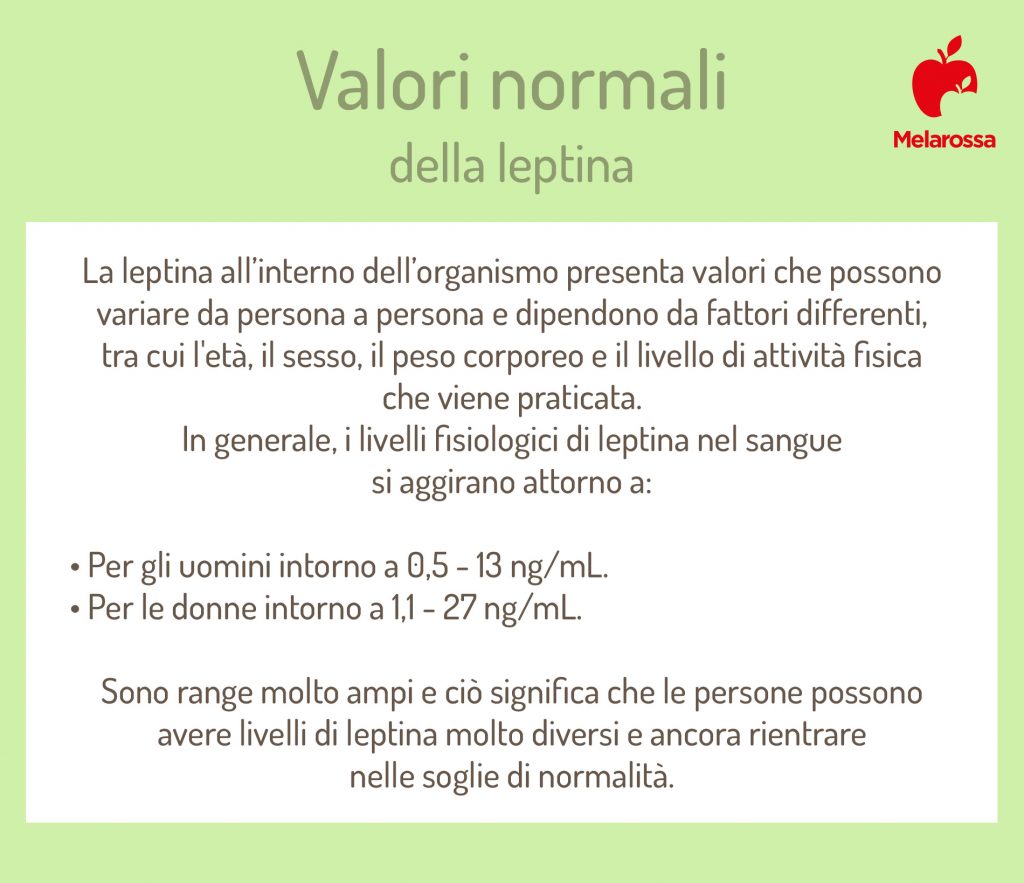 Leptina: che cos'è, dove si trova e legame con fame e obesità