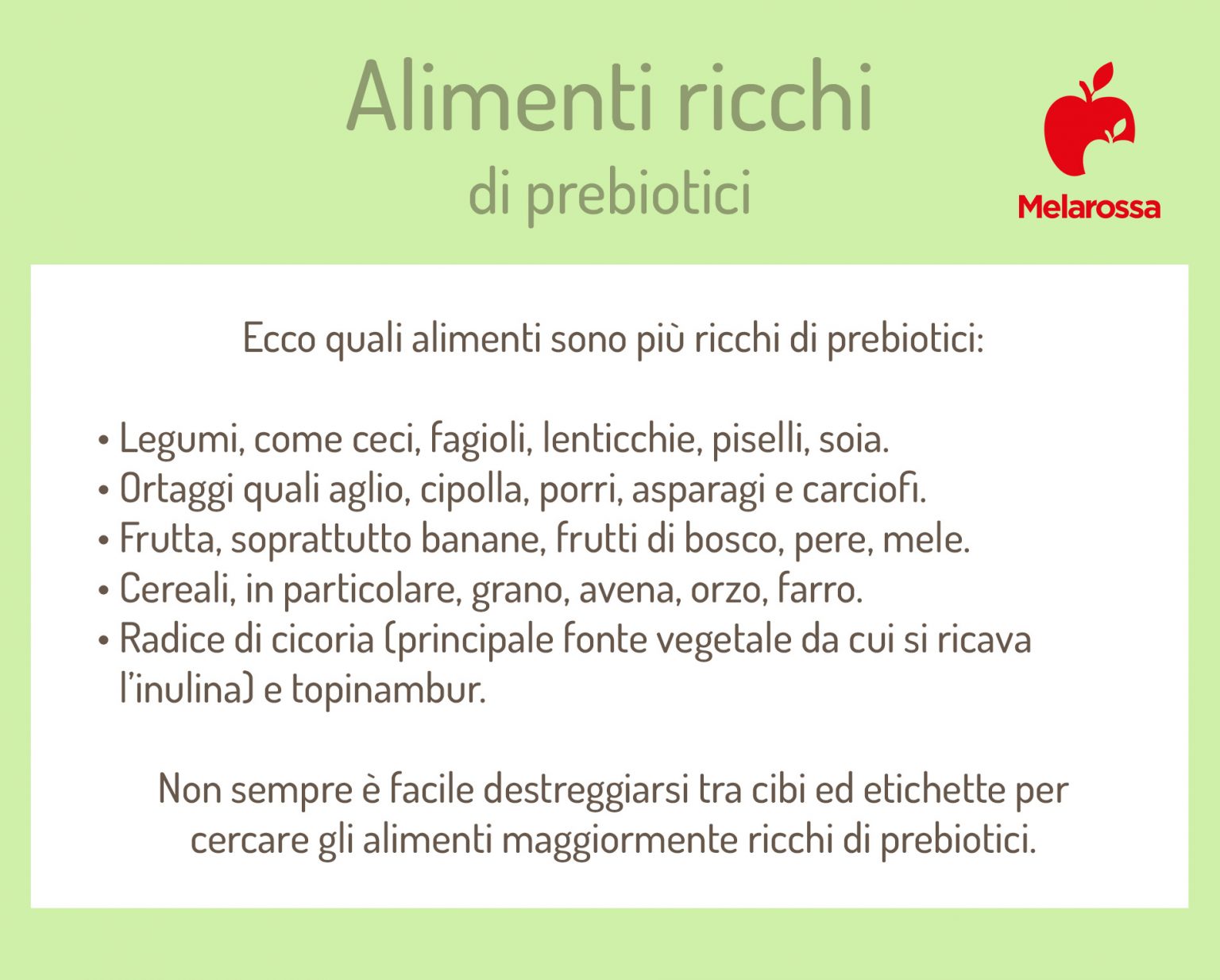 Prebiotici: cosa sono, quali sono, benefici e dove si trovano