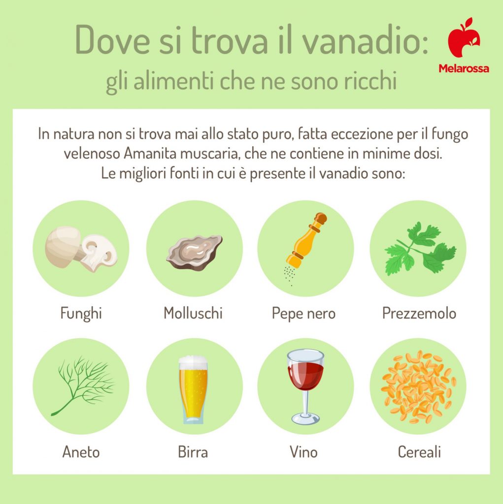 Vanadio: che cos'è proprietà, fabbisogno, alimenti ricchi