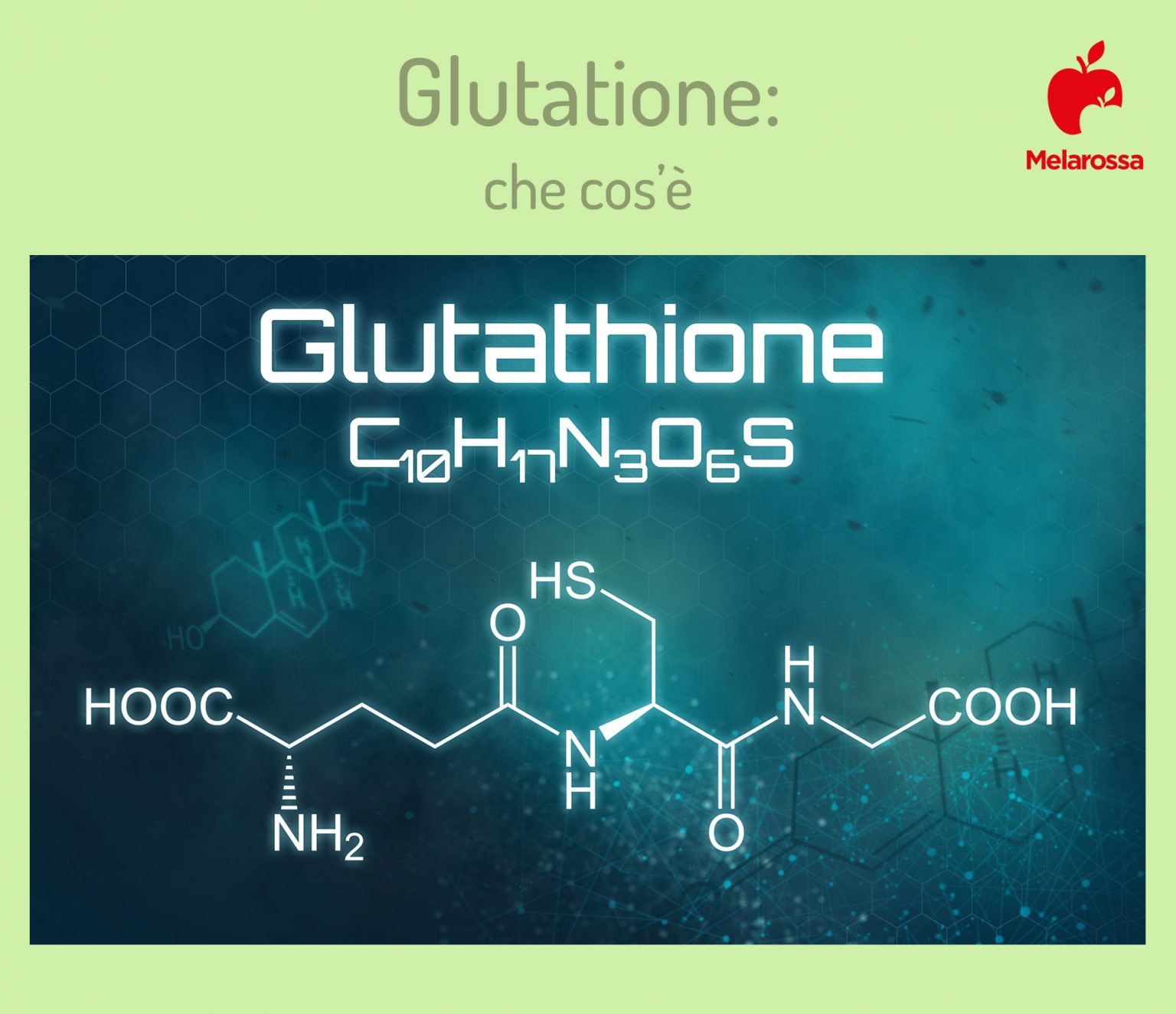 Glutatione: che cos'è, a cosa serve, effetti collaterali e integratori