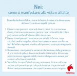 Nei: cosa sono, perché si formano, come riconoscere quelli maligni