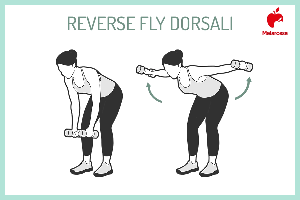 Esercizi dorsali: esercizi e allenamento per tonificarli - Melarossa