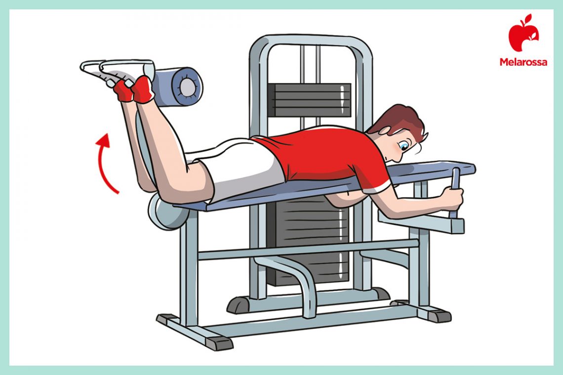 Ischiocrurali: anatomia, funzioni, esercizi, stretching