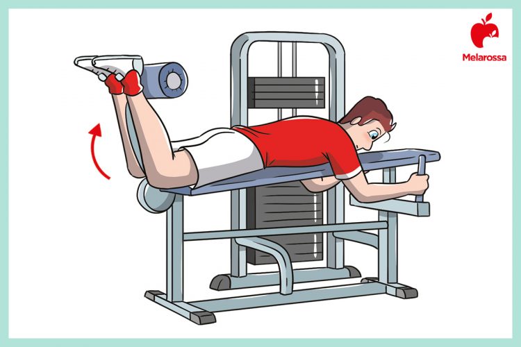 Ischiocrurali: anatomia, funzioni, esercizi, stretching