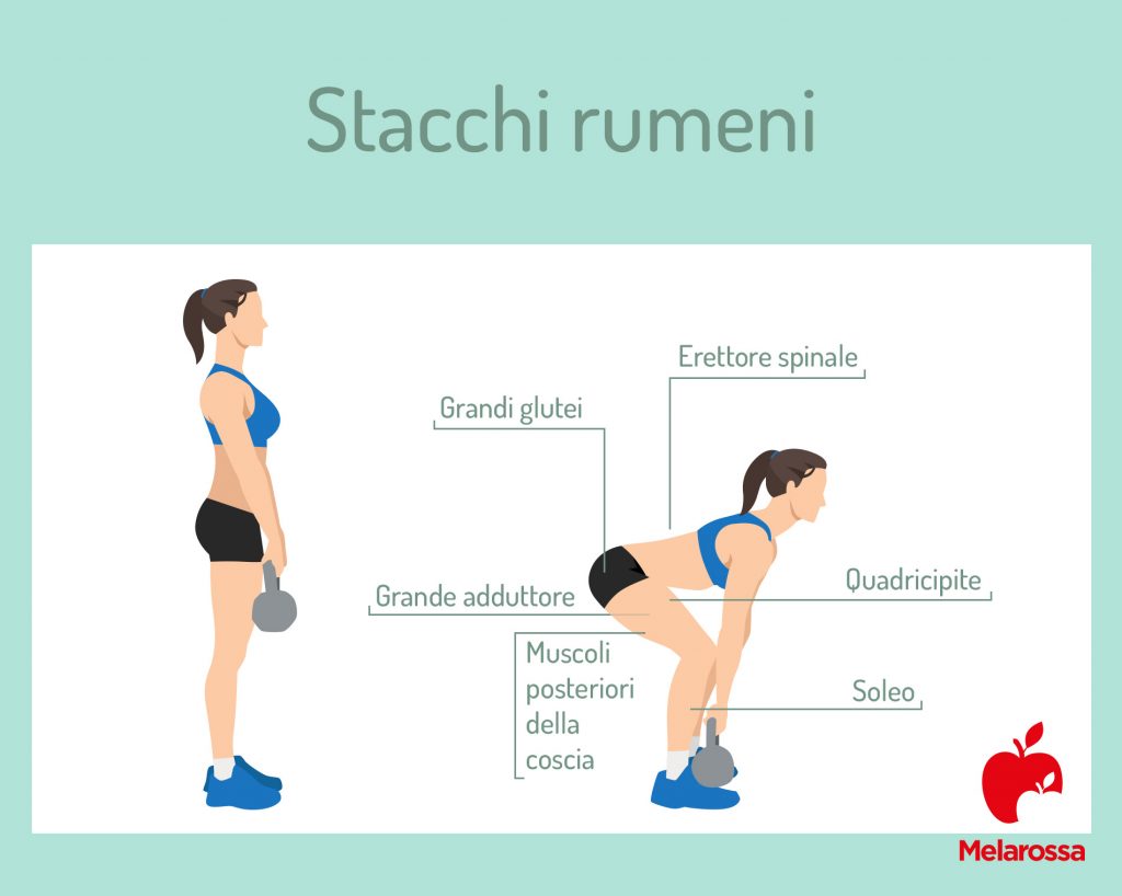 Ischiocrurali: anatomia, funzioni, esercizi, stretching