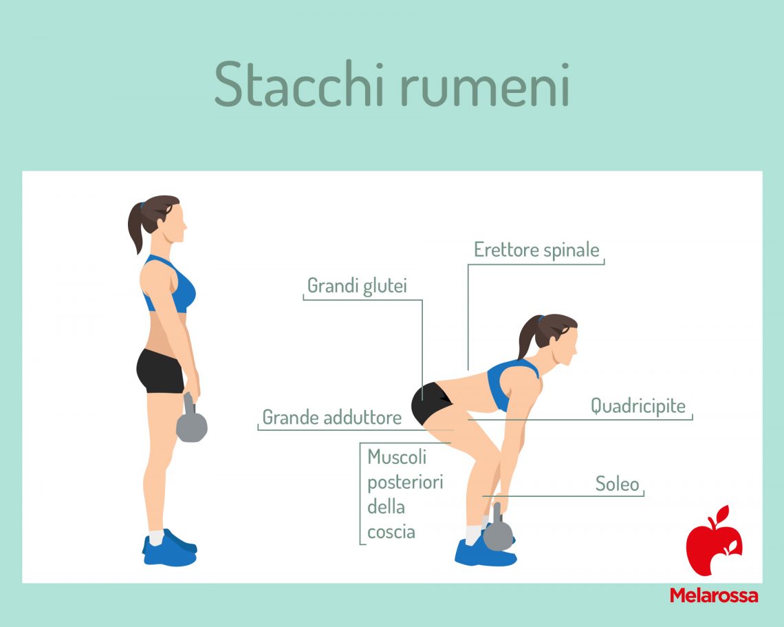 Ischiocrurali: cosa sono, esercizi migliori e stretching