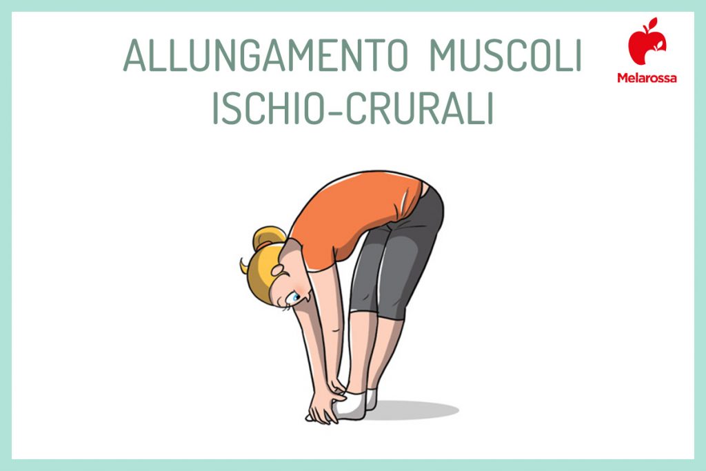 Ischiocrurali: anatomia, funzioni, esercizi, stretching