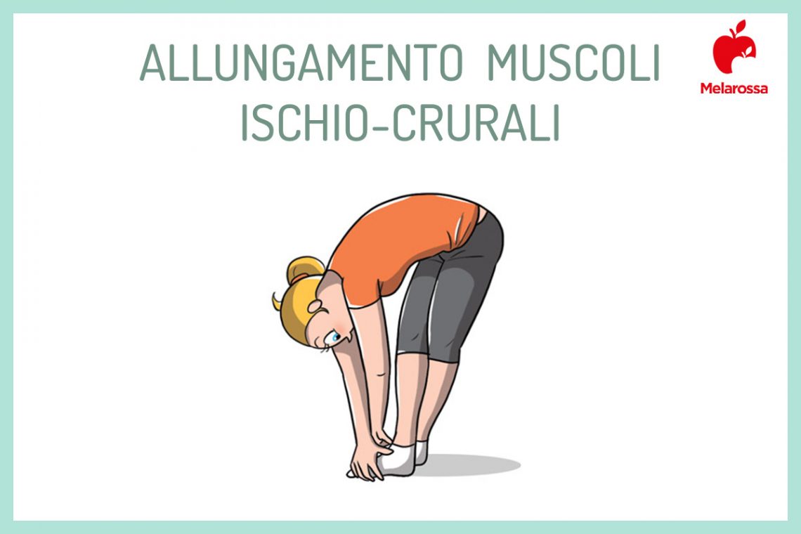 Ischiocrurali: anatomia, funzioni, esercizi, stretching