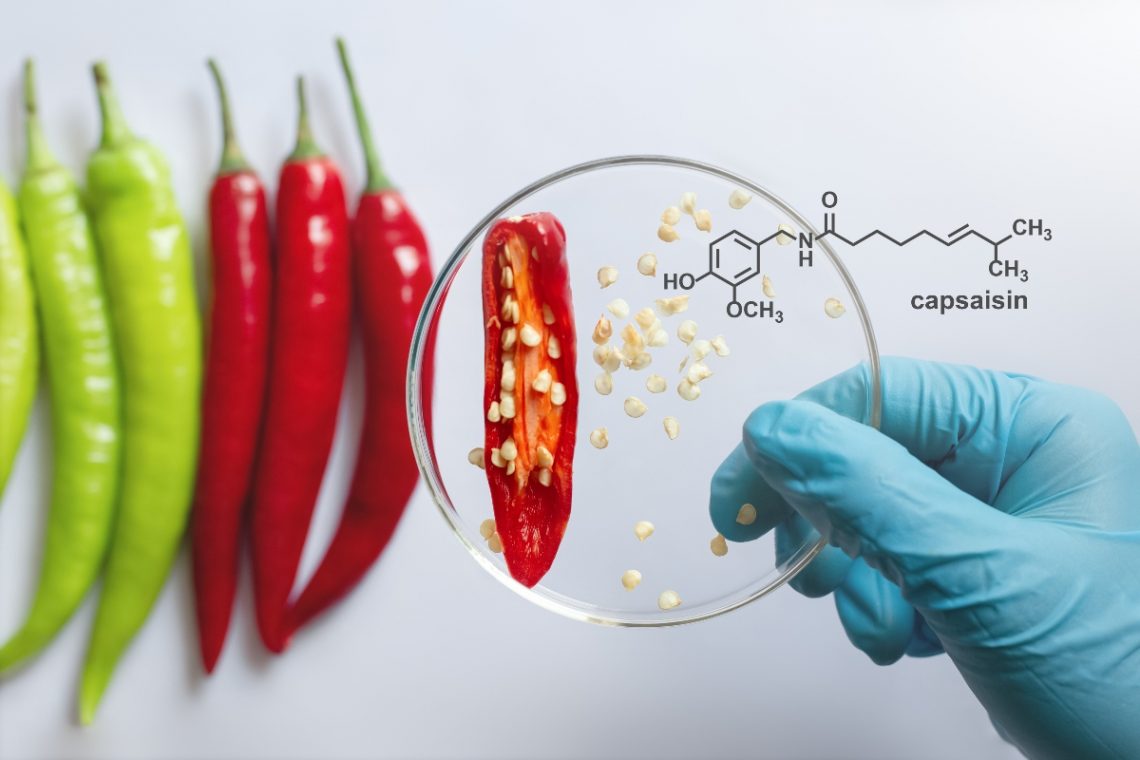 Capsaicina: a cosa serve, benefici e usi